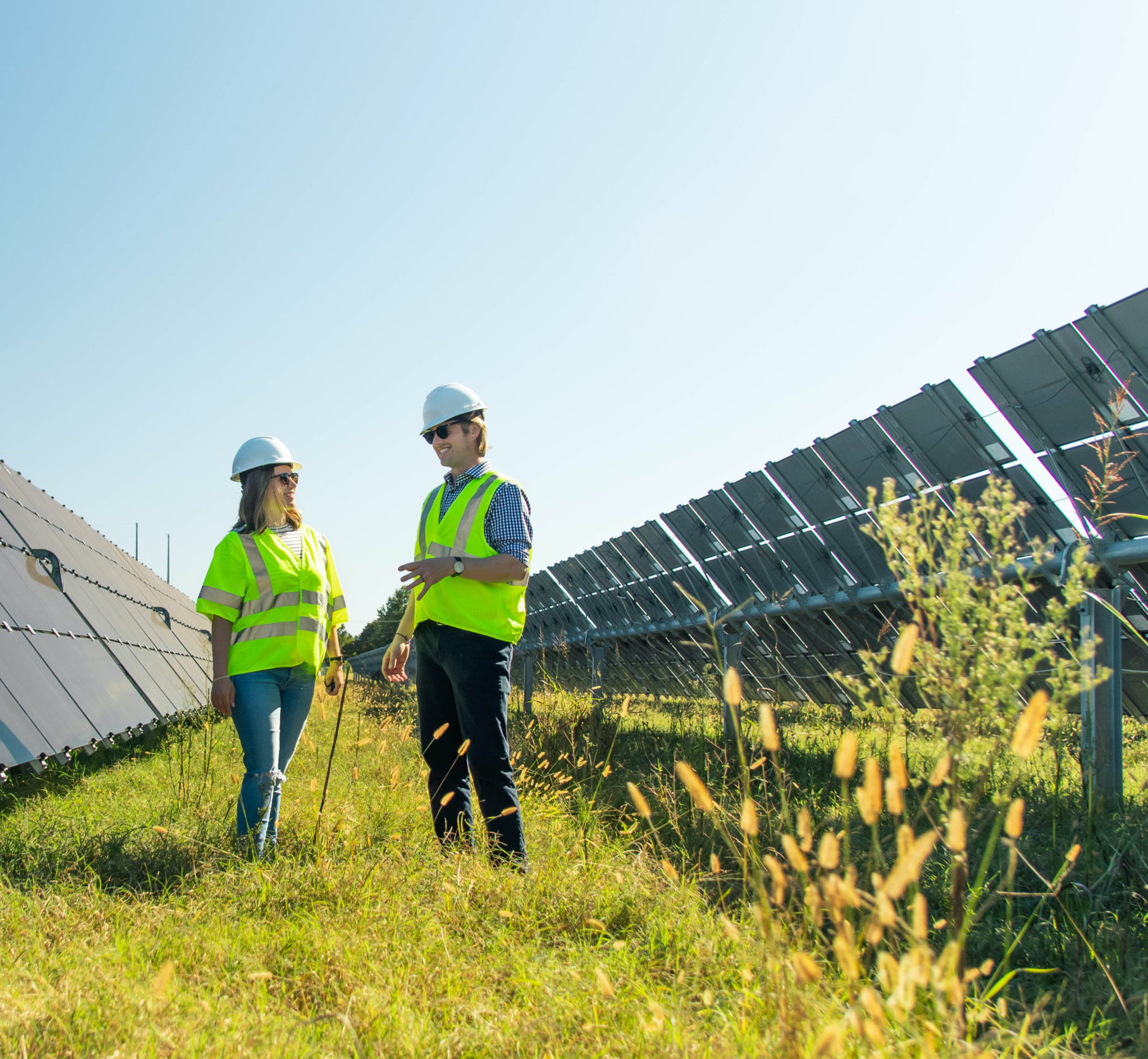 Panola County, MS Projects - Clearloop